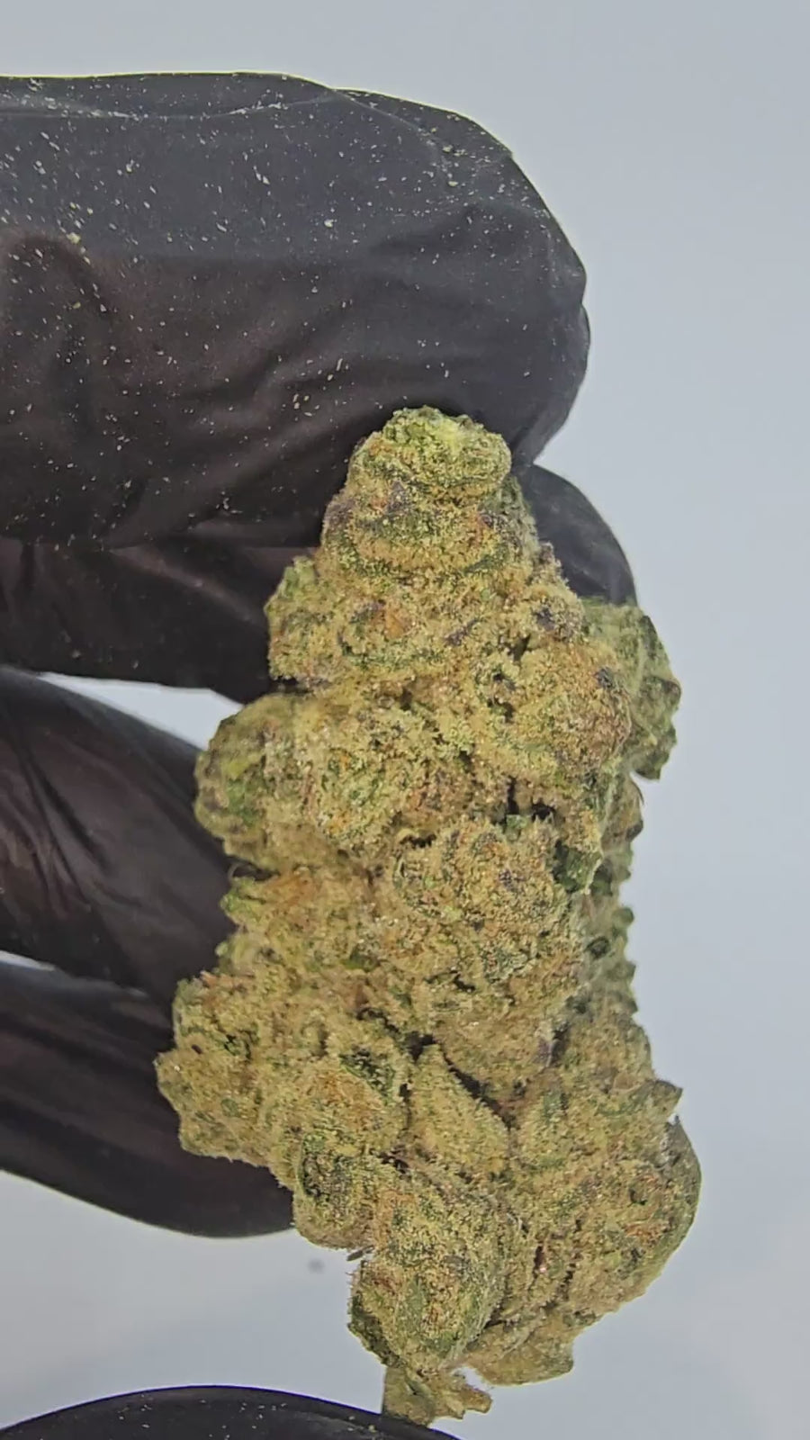 Top Tier Cannabis Flower – Diesel Dispensary